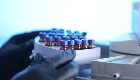 Laboratorios The Labs - The Labs